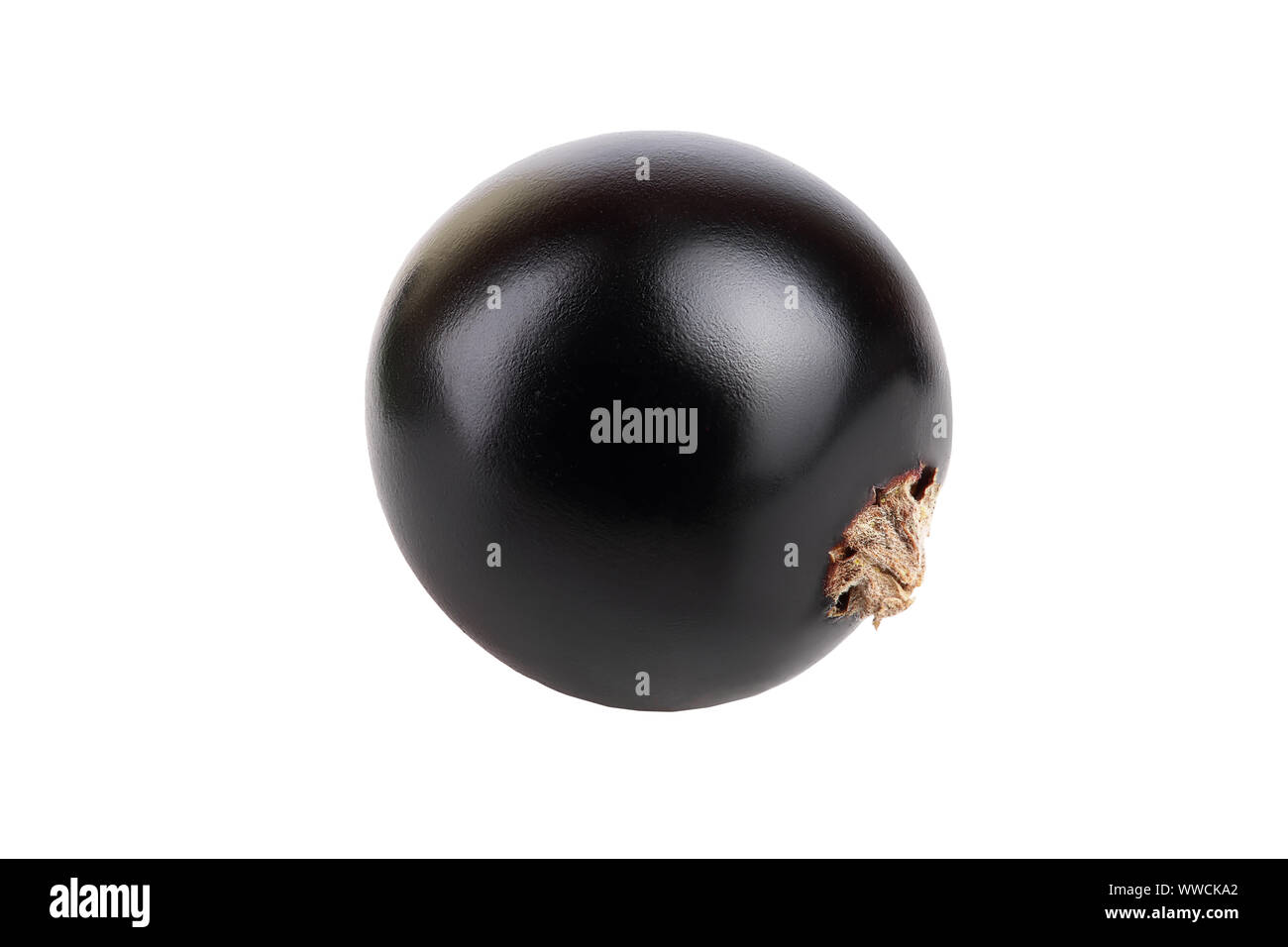 Black currant close up fresh Cut Out Stock Images & Pictures - Alamy