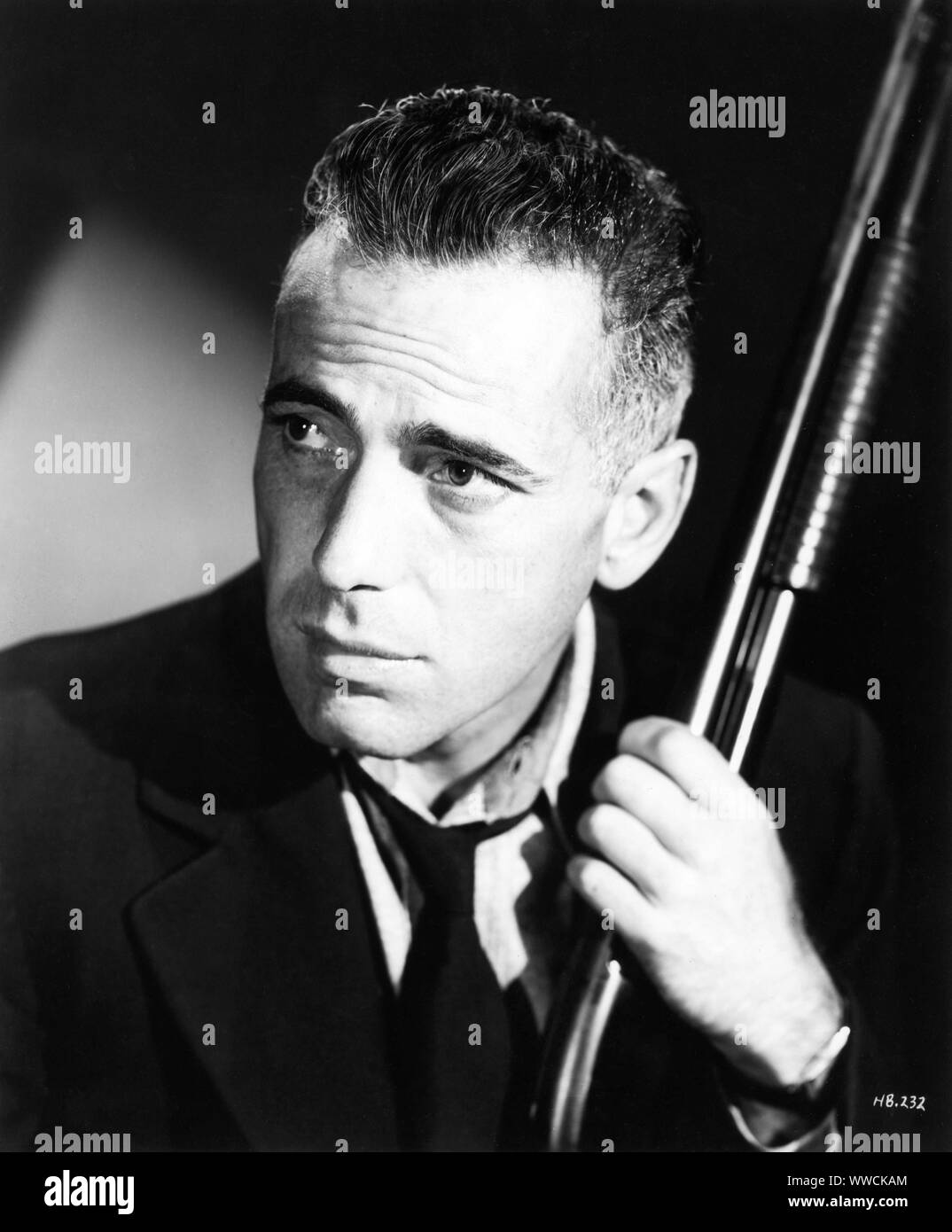 Roy walsh hi-res stock photography and images - Alamy