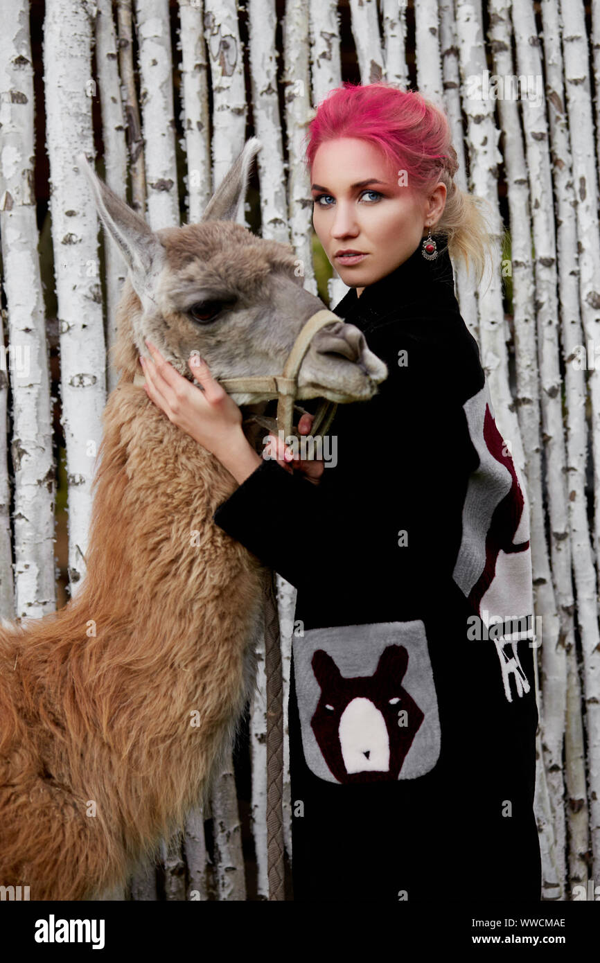 Woman near Lama in the autumn on the background of birch trees ...