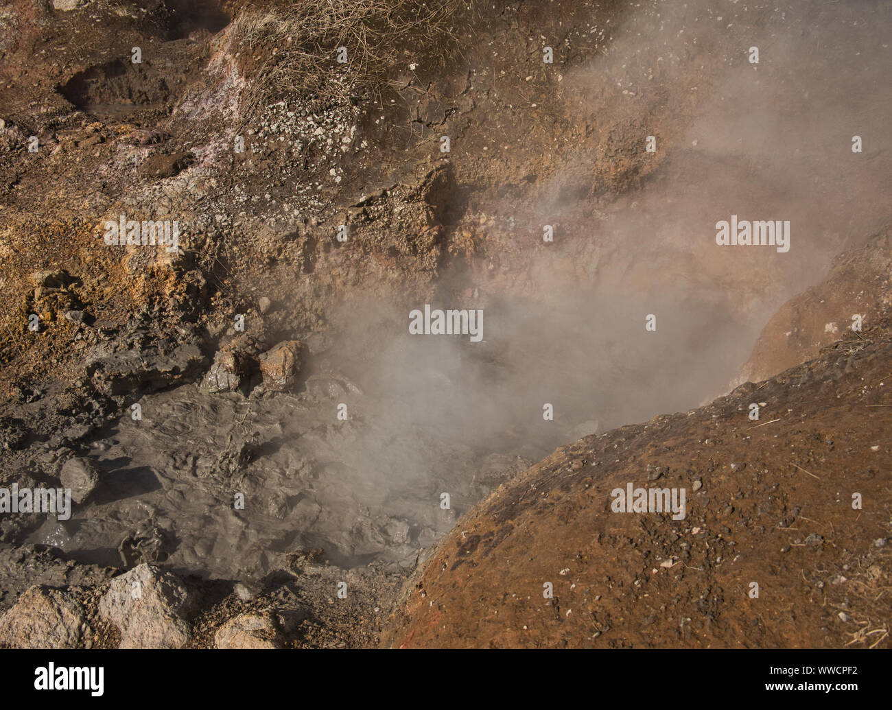 Bubbling mud volcanic activity hi-res stock photography and images - Alamy