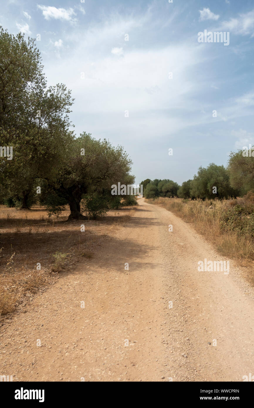 Road of the august road through San Mateo, Spain Stock Photo - Alamy