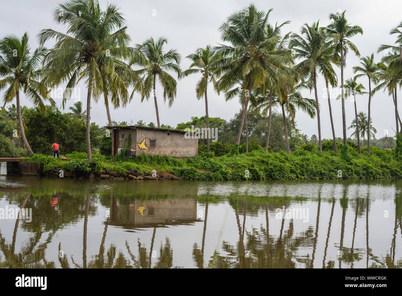 Manmade fish and prawn farming farms located in Goa which rear and ...