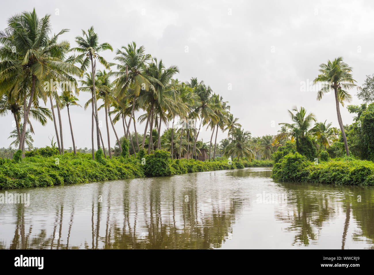Manmade fish and prawn farming farms located in Goa which rear and ...