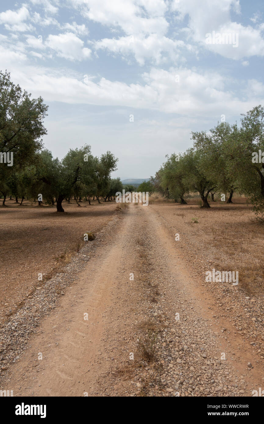 Road of the august road through San Mateo, Spain Stock Photo - Alamy