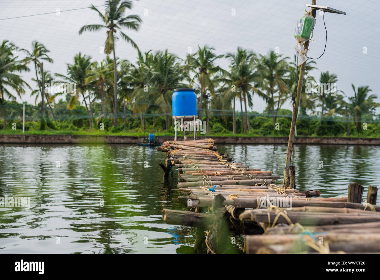 Prawn farming hi-res stock photography and images - Alamy