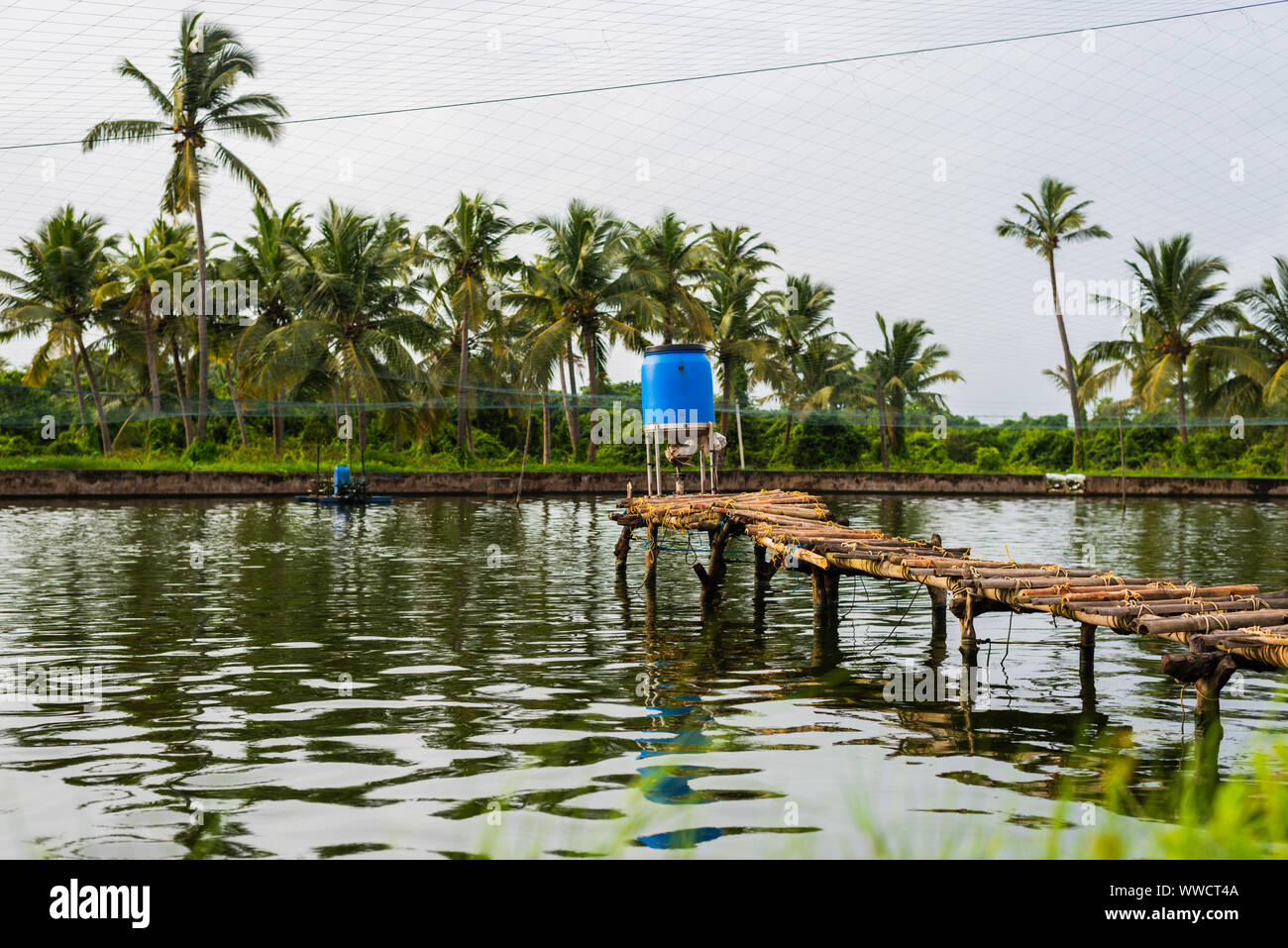 Manmade fish and prawn farming farms located in Goa which rear and ...