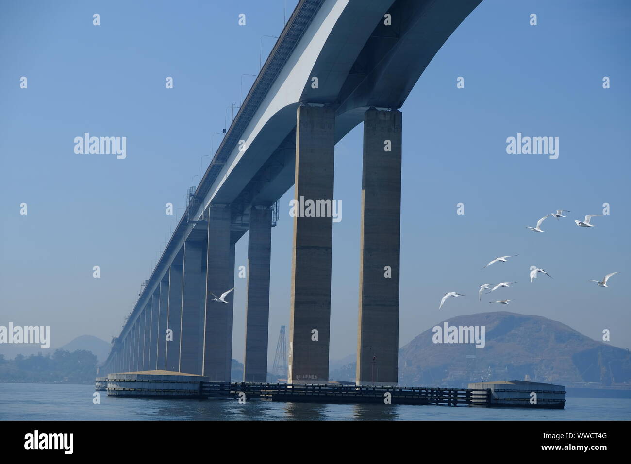 Brazil Rio de Janeiro Rio-Niteroi Bridge and seagulls Stock Photo - Alamy