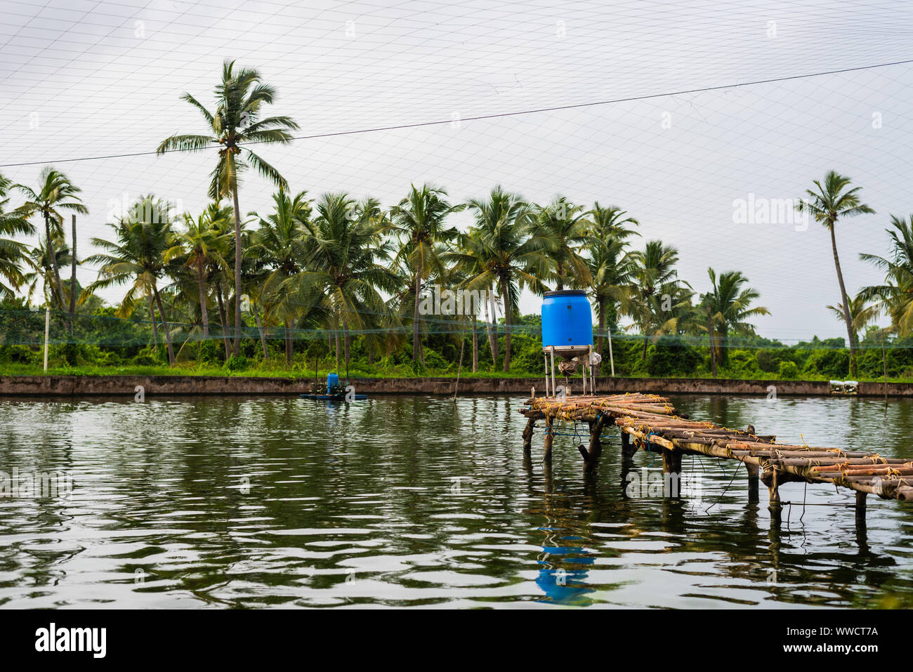Manmade fish and prawn farming farms located in Goa which rear and ...