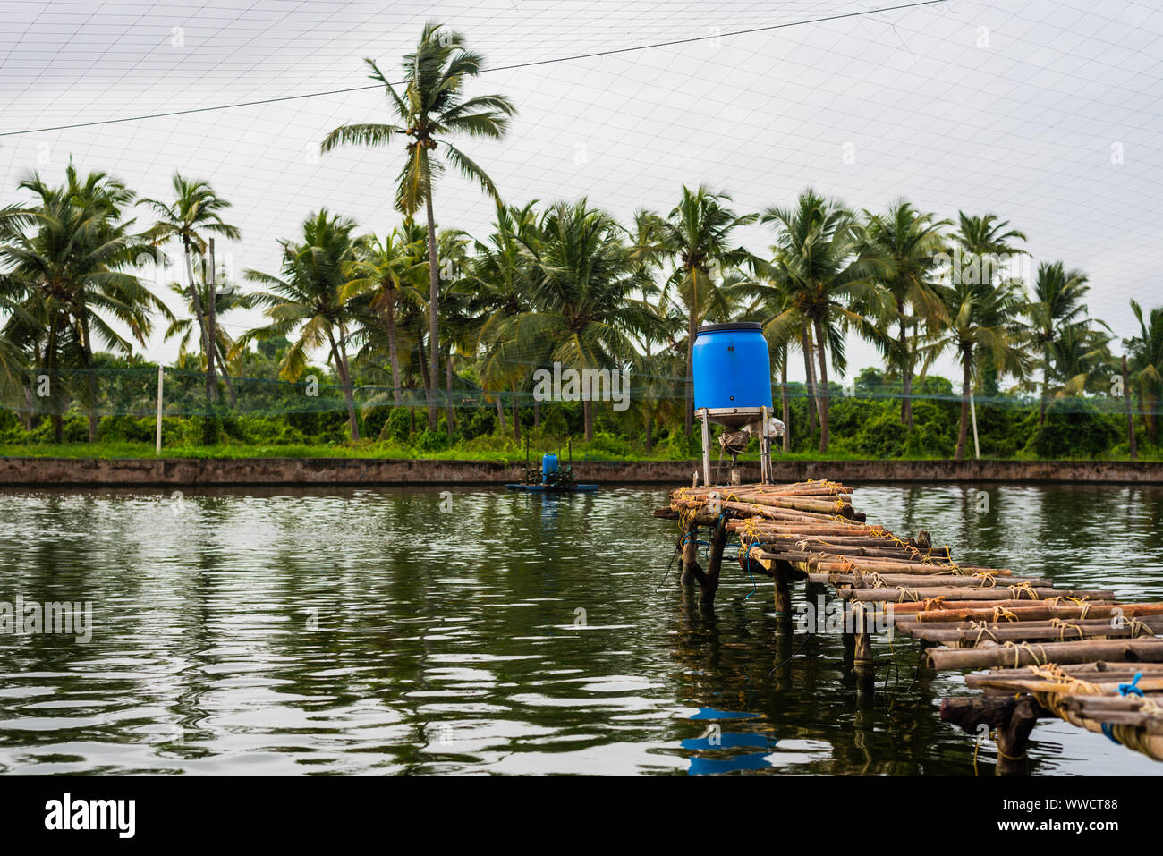 Manmade fish and prawn farming farms located in Goa which rear and ...