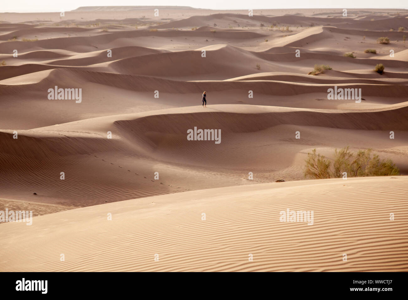 A sand dune landscape, the endless dunes of the desert in Iran Stock ...