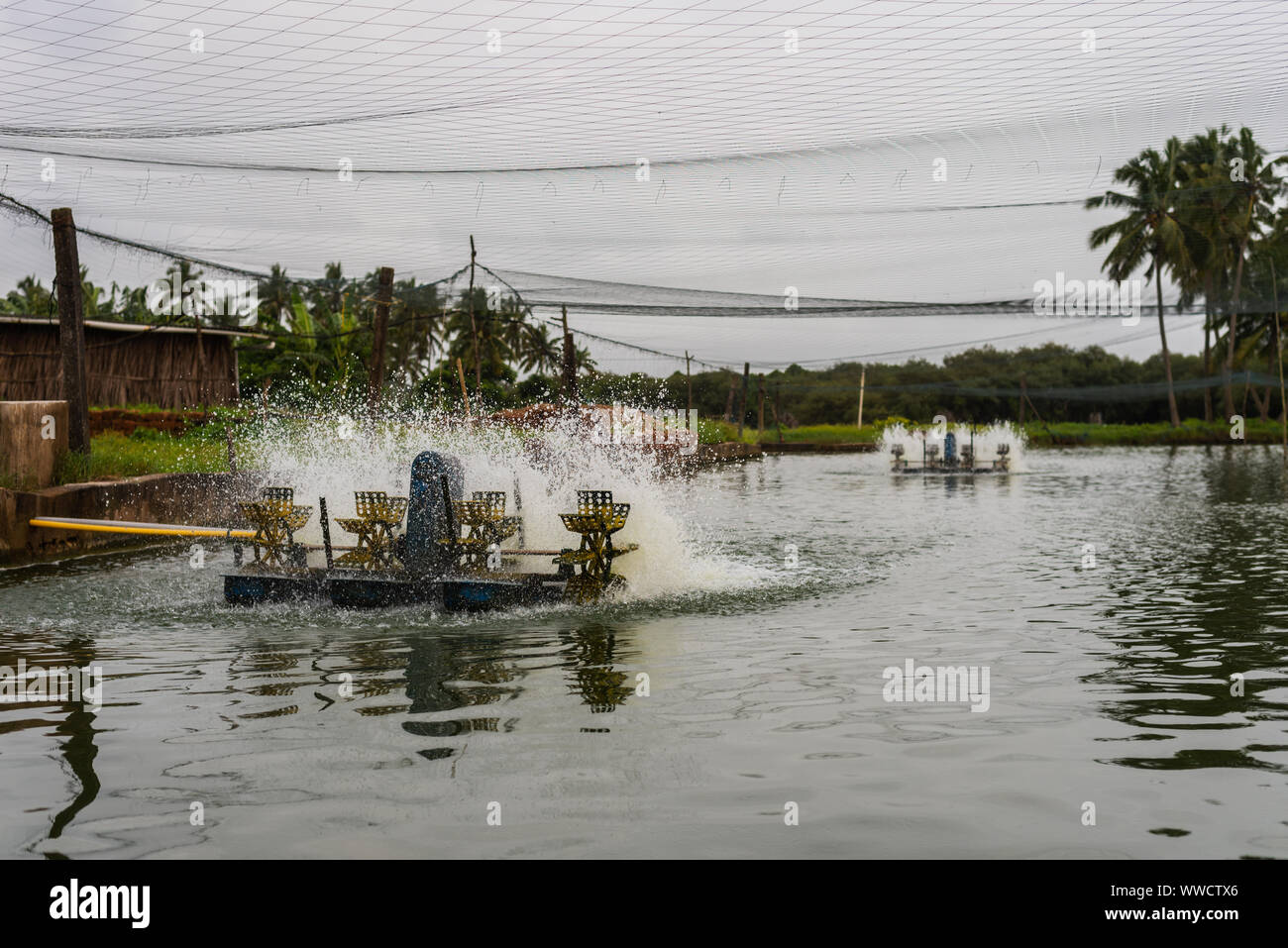 Manmade fish and prawn farming farms located in Goa which rear and ...
