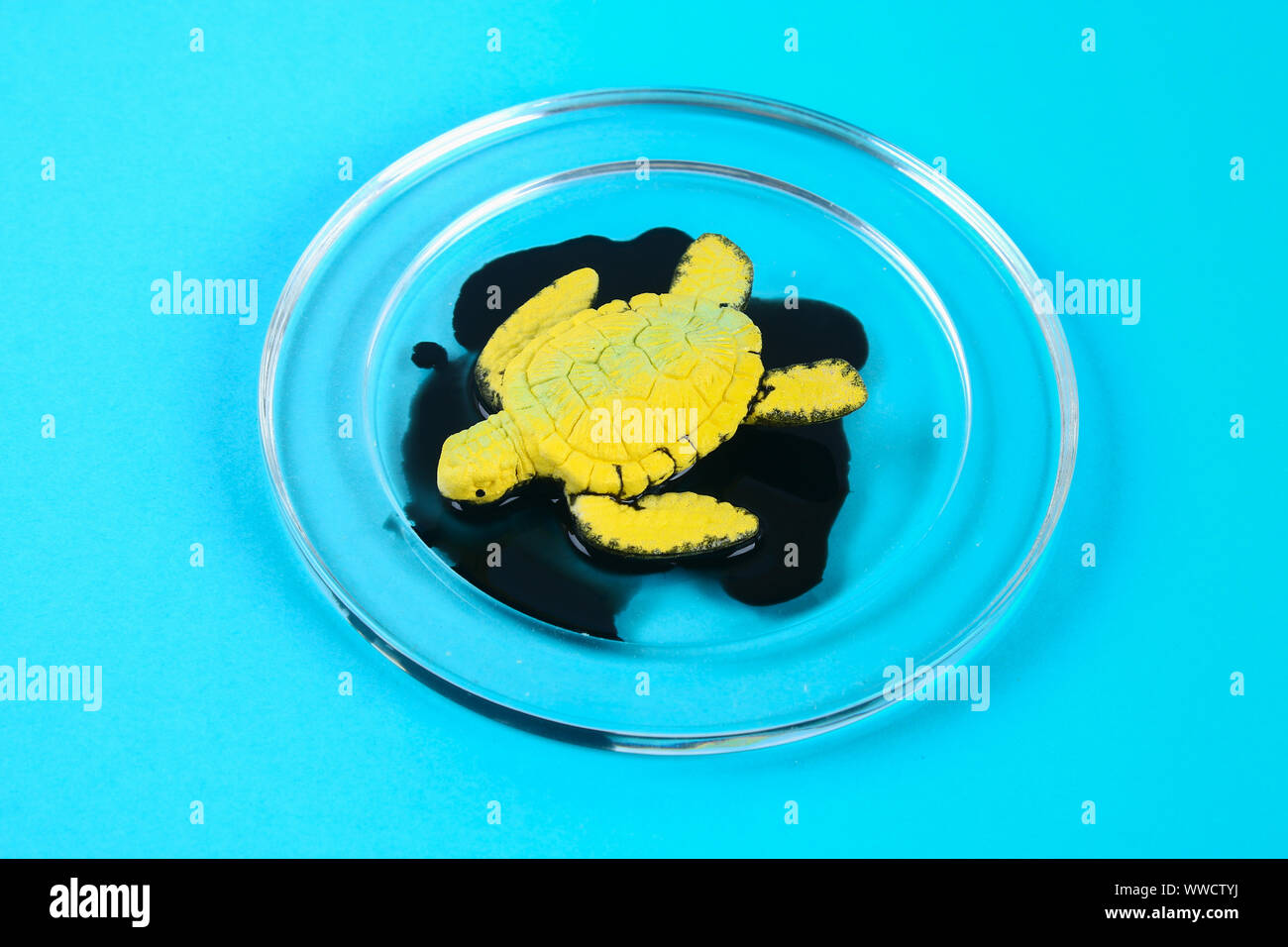 Turtle in oil. pollution in ocean environmental problem. Ecological ...