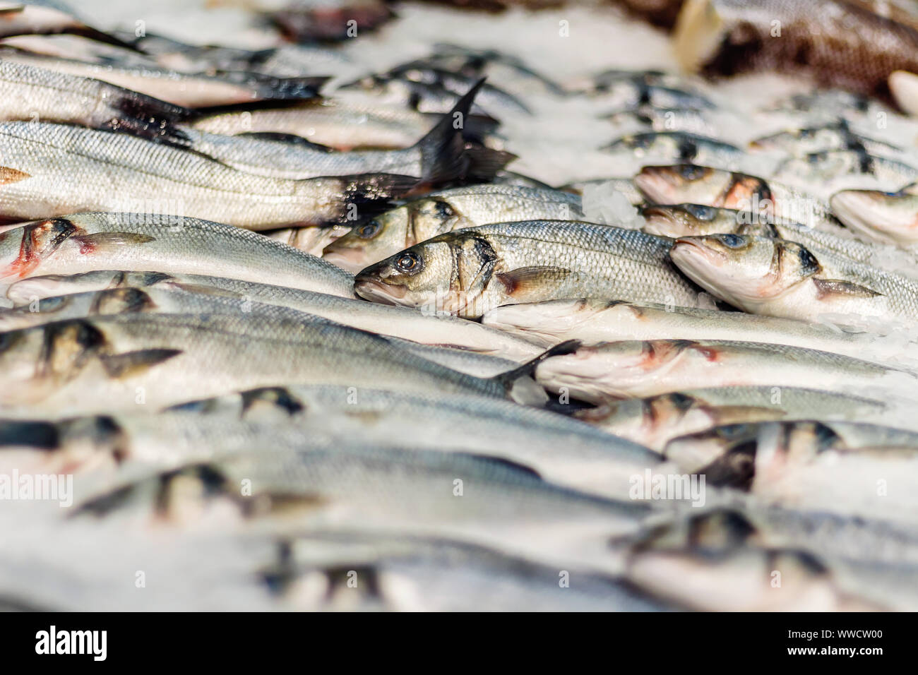 Raw fish on ice Stock Photo - Alamy