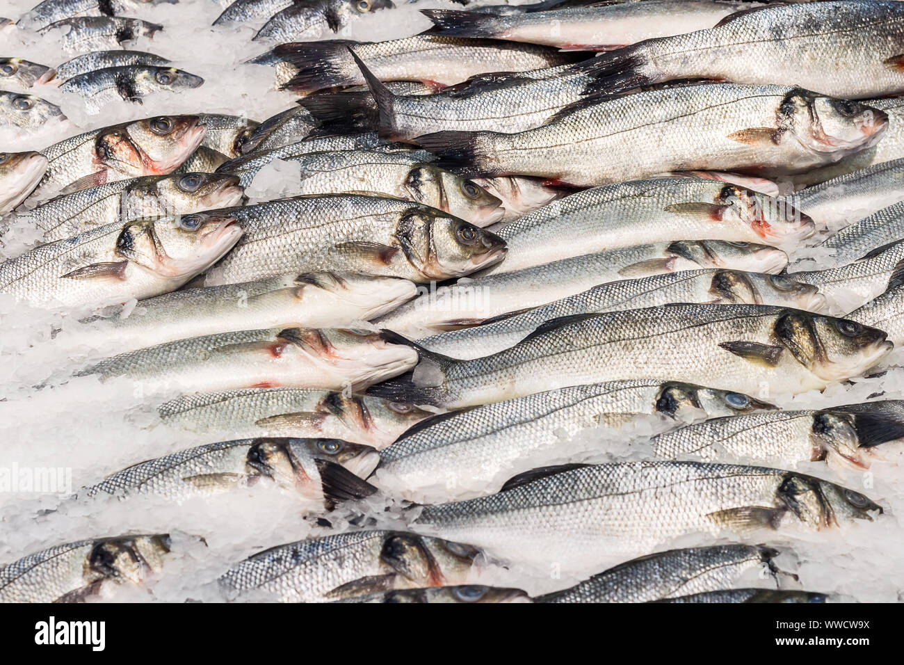 Raw fish on ice offered Stock Photo - Alamy