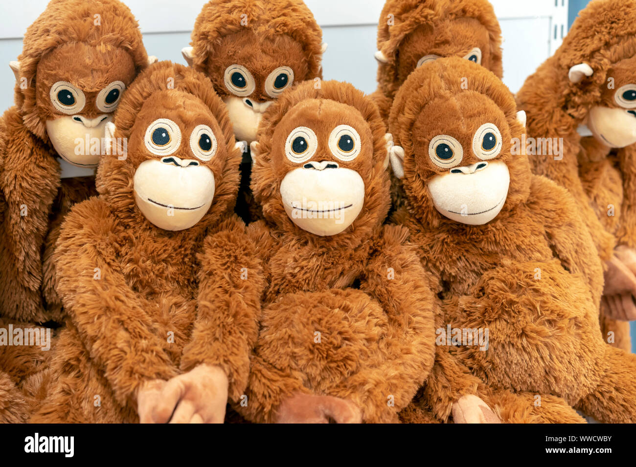 Soft toys of orange monkeys on the counter of a toy store Stock Photo ...