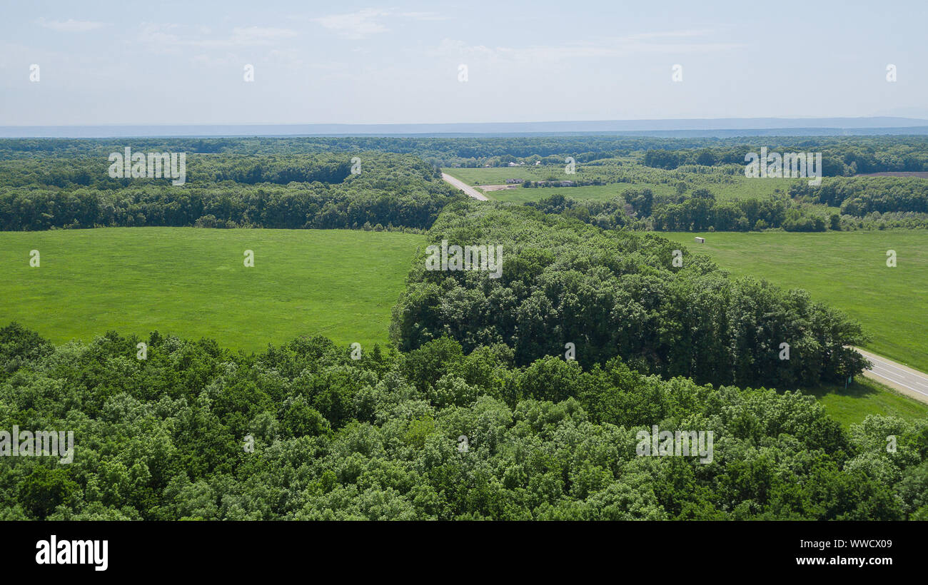 Field of summer grass and forest Stock Photo - Alamy