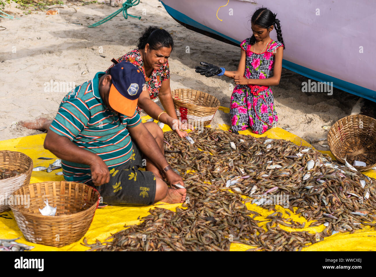 Fish Market Goa India High Resolution Stock Photography and Images - Alamy