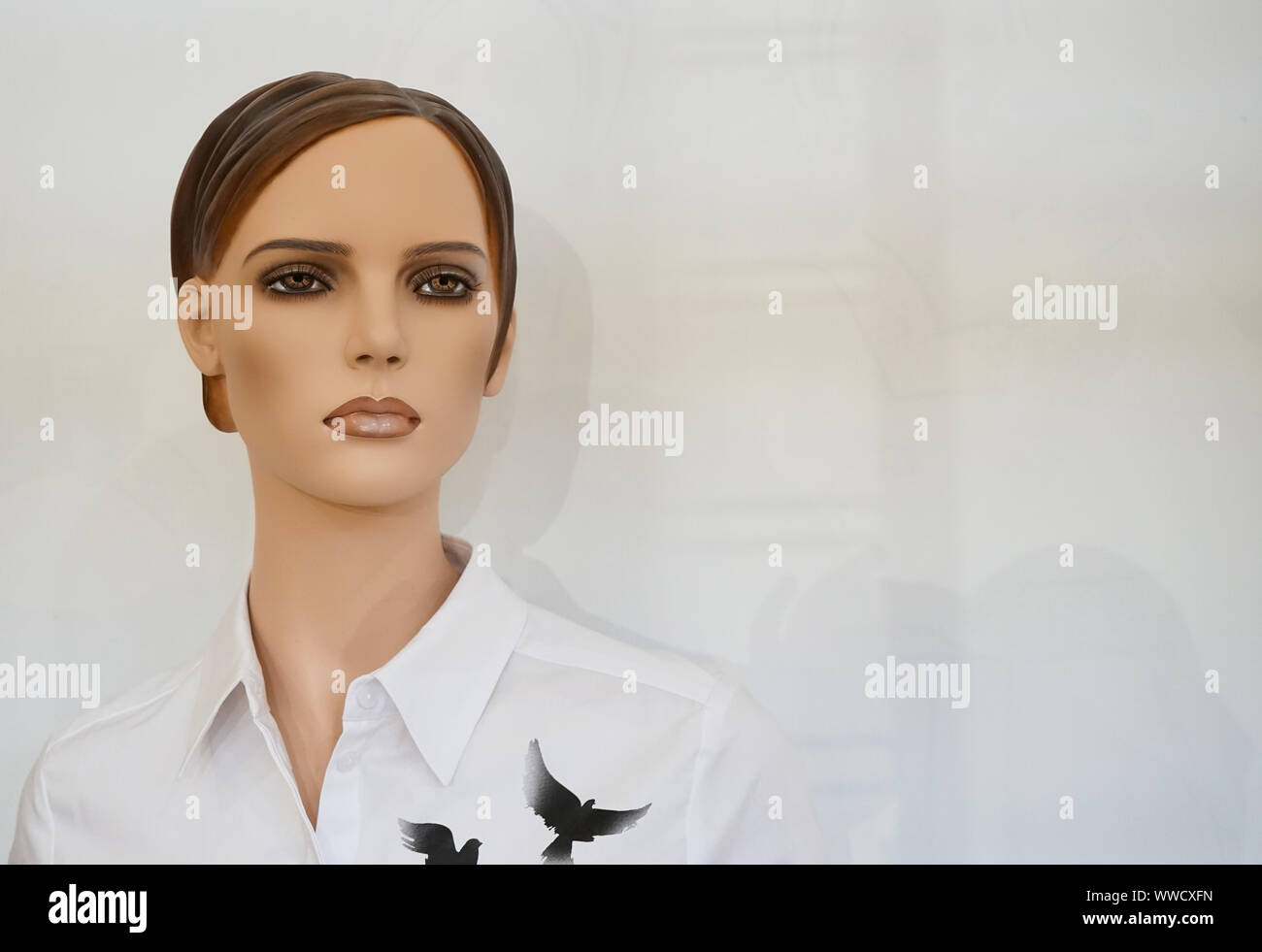 Female mannequin presented in a clothing store Stock Photo - Alamy