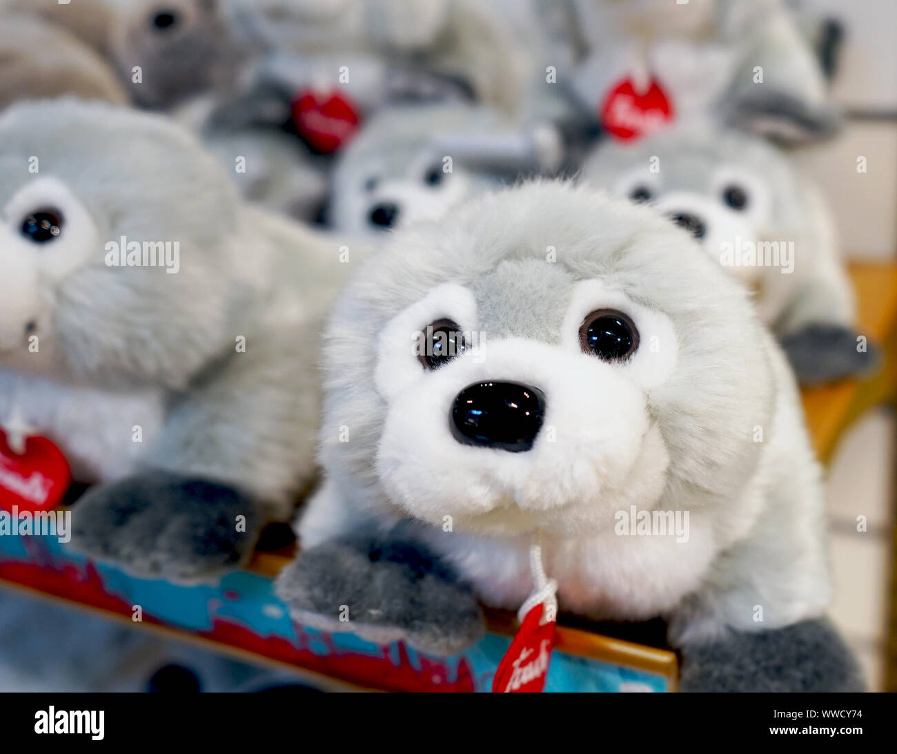 Soft toys for children on the counter of the store Stock Photo - Alamy