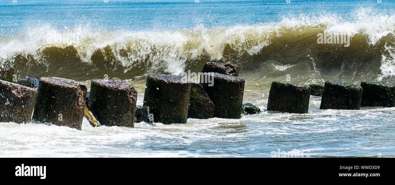 Wide view of a wave in the atlantic ocean starting to break behind a ...