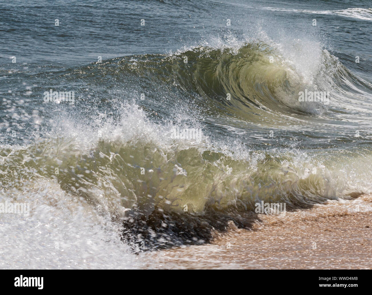 Rough waves of the Atlantic OCean breaking on the coast of Fire Island ...
