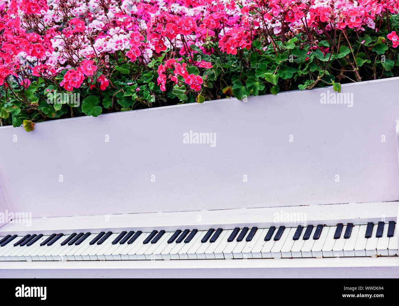 Pianino Clipart Flowers