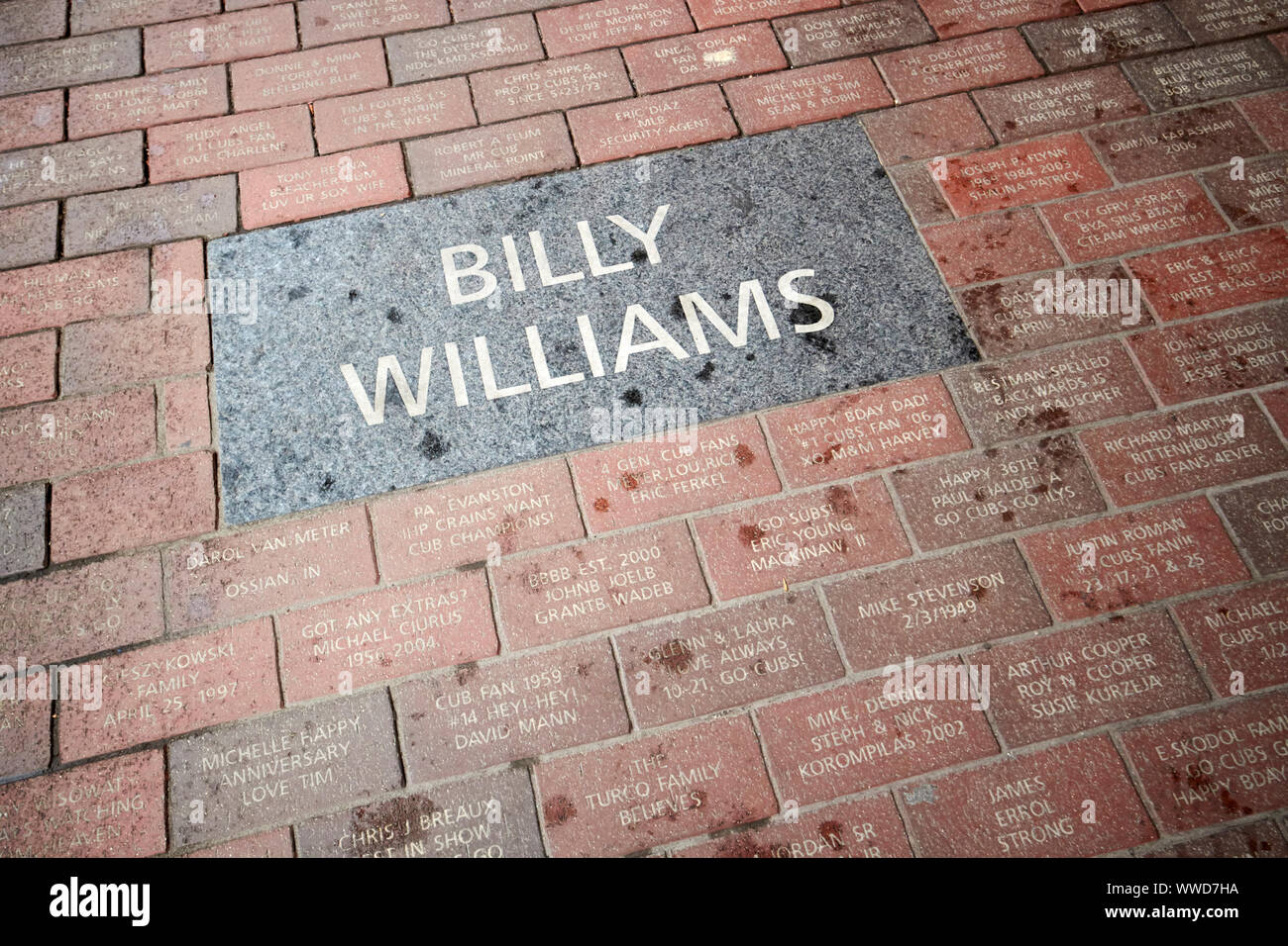 billy williams named paving slab and street bricks sponsored by ...