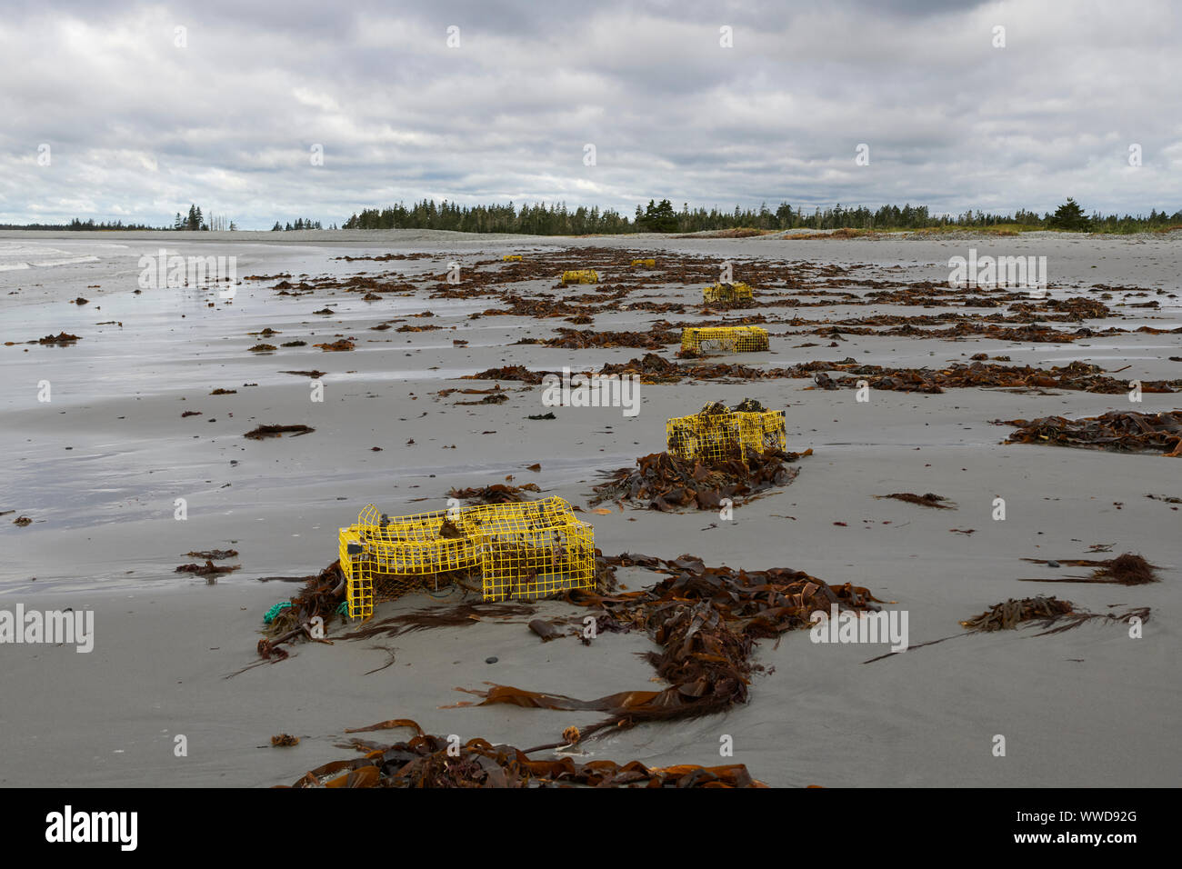Damaged lobster cages strewn along beach after being ripped form seabed ...
