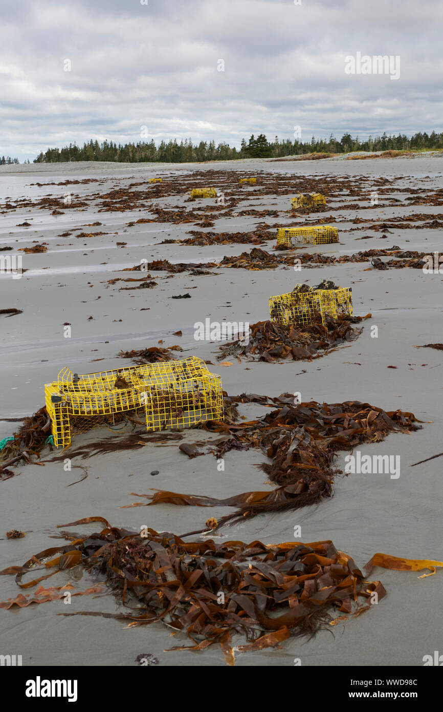 Damaged lobster cages strewn along beach after being ripped form seabed ...