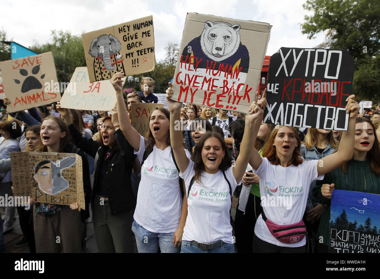 Paliament of animals hi-res stock photography and images - Alamy