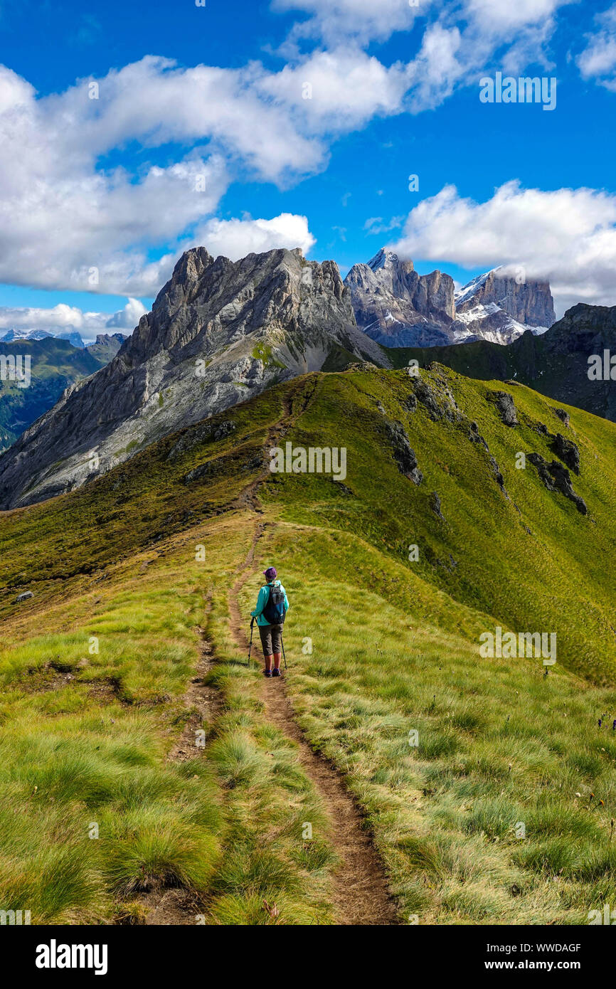 Female hiker, walker in The Italian Dolomites around Canazei, Sud Tirol ...