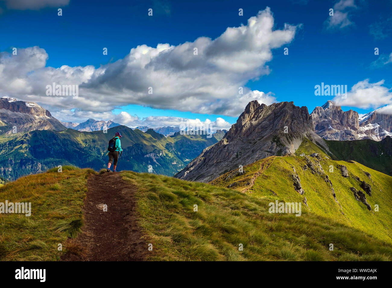 Female hiker, walker in The Italian Dolomites around Canazei, Sud Tirol ...