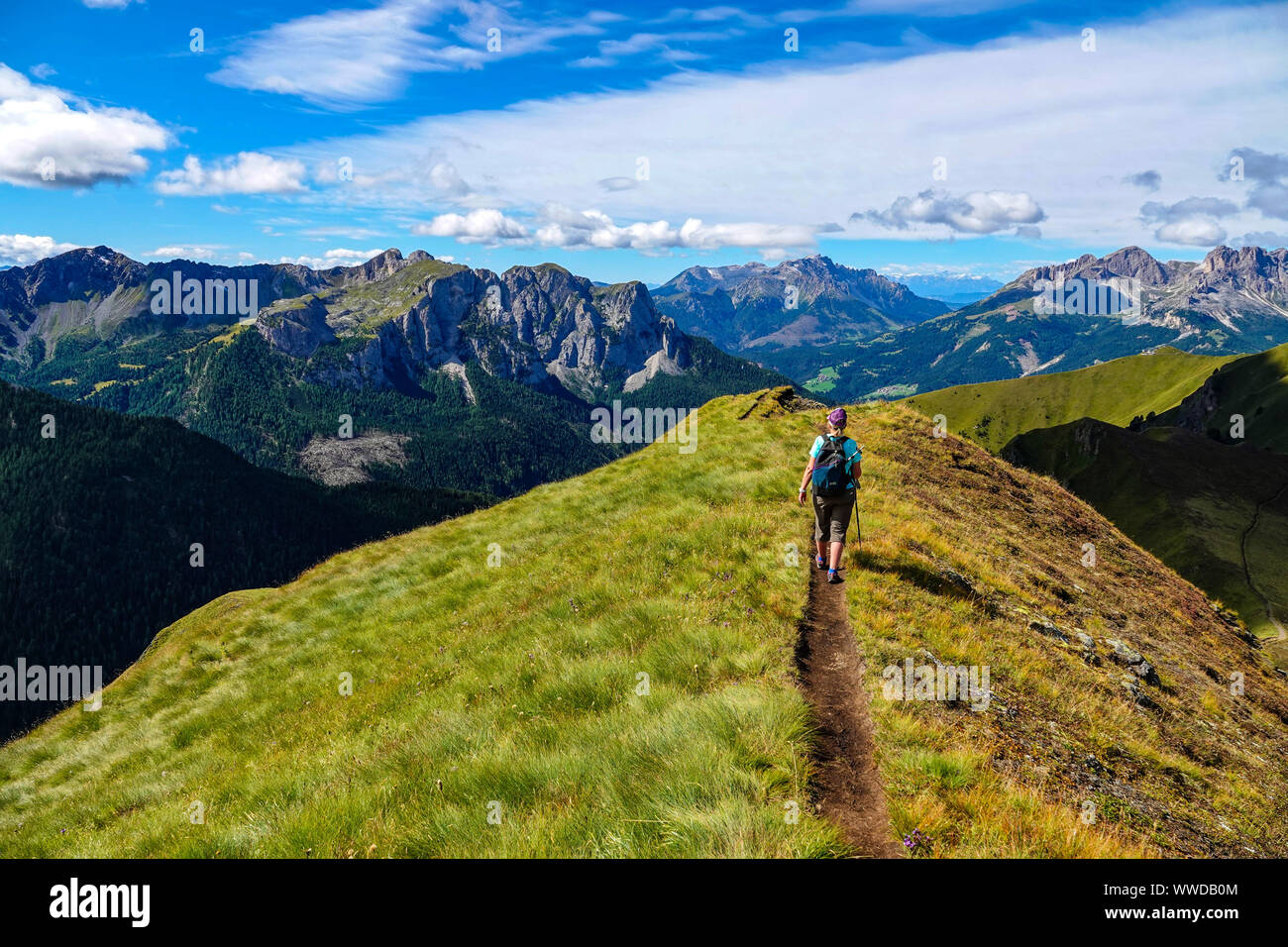 Female hiker, walker in The Italian Dolomites around Canazei, Sud Tirol ...