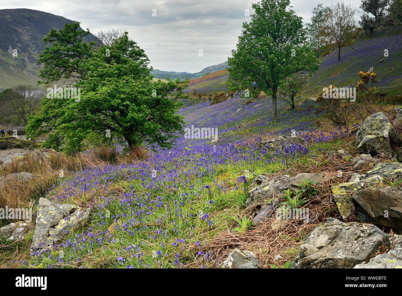 Melbreak hi-res stock photography and images - Alamy