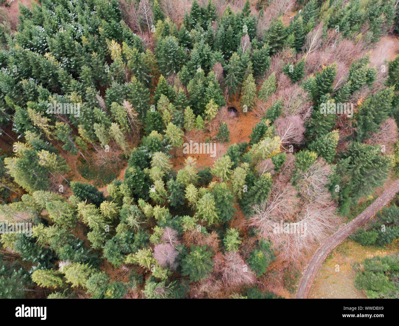 Free wallpapers hi-res stock photography and images - Alamy