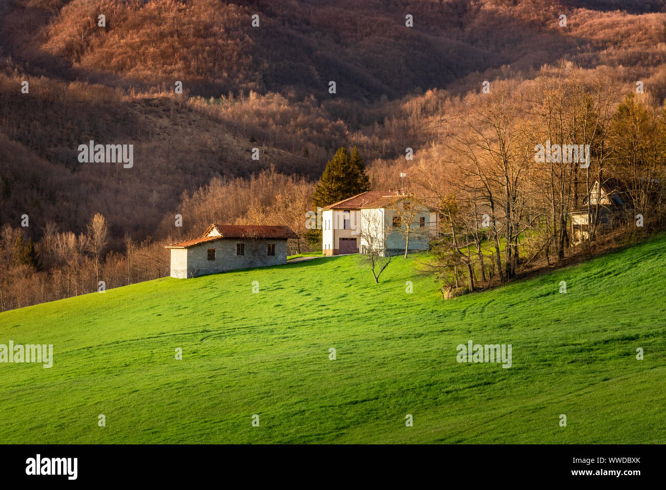 typical Italian hillside landscape in the fall Stock Photo - Alamy