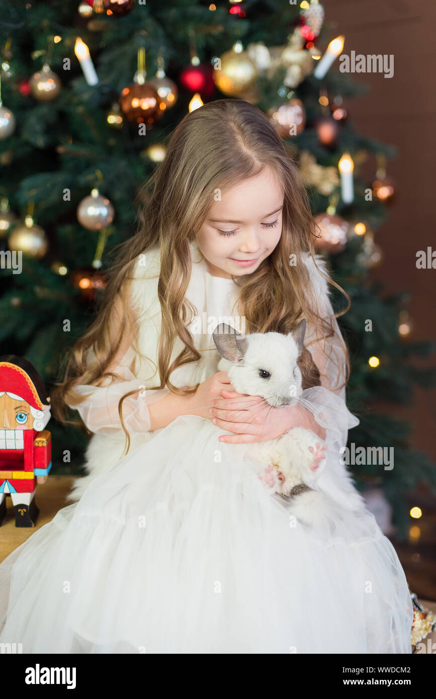 Little girl and white chinchilla nut. Happy Chinese New Year 2020 year ...