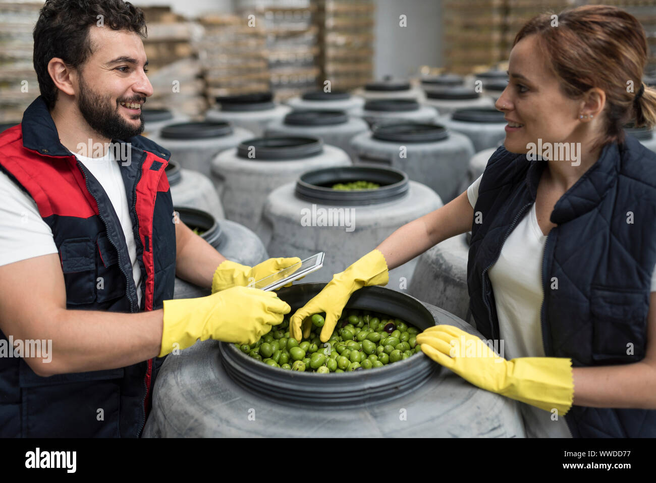 Olive green door hi-res stock photography and images - Alamy