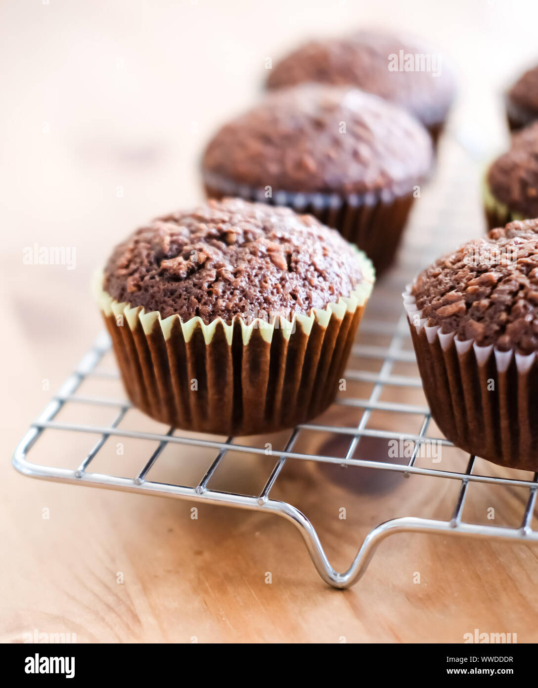 Chocolate cupcakes background Stock Photo - Alamy