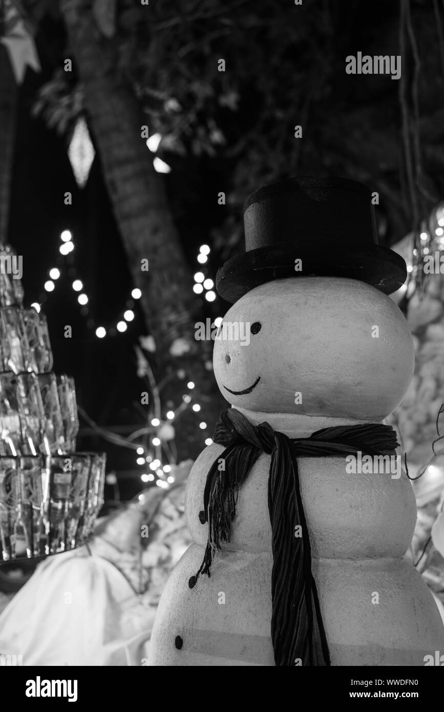 Christmas tree holiday colorful Black and White Stock Photos & Images ...