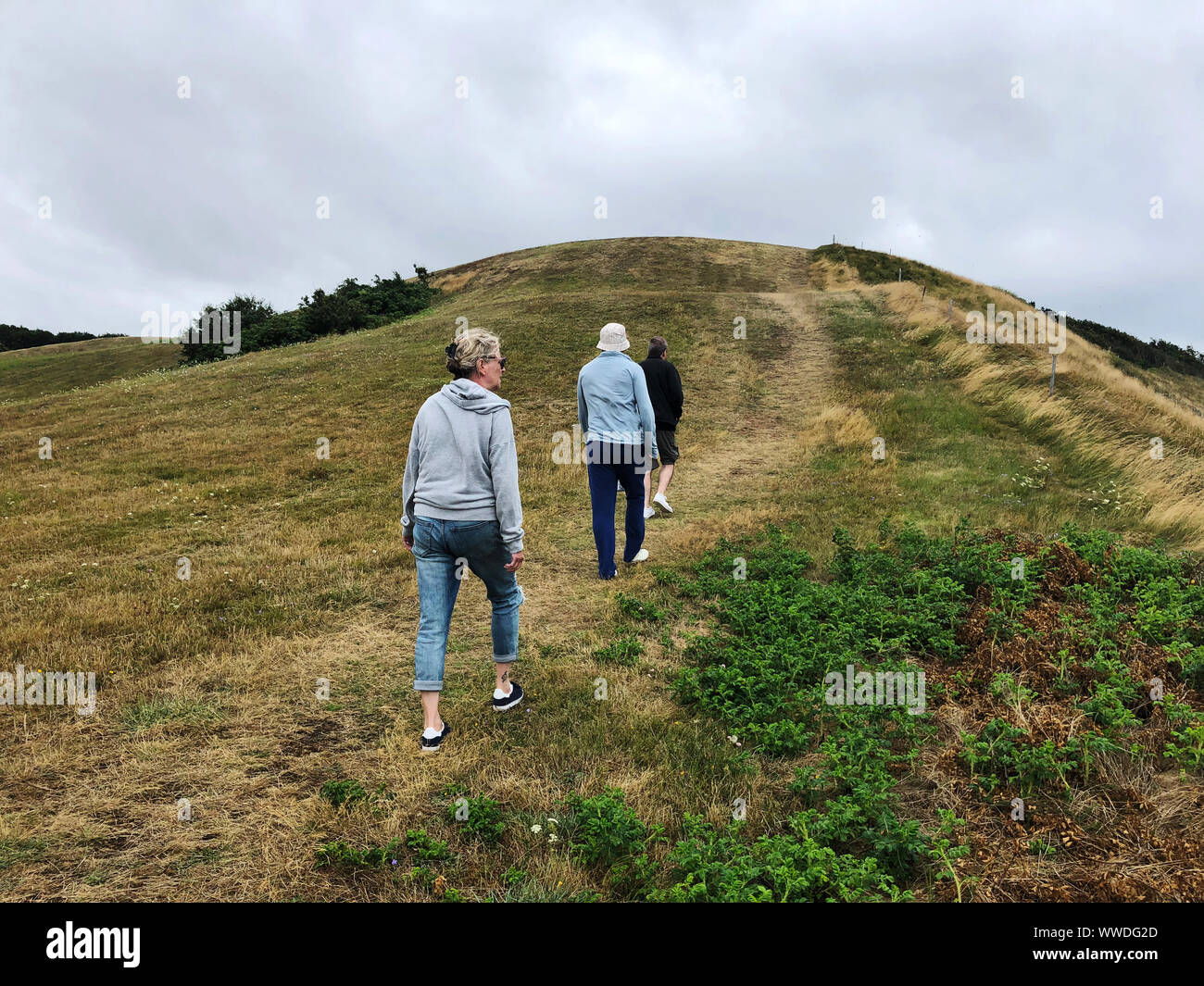 Three people walking in rural landscape, Issehoved, Samsoe, Denmark ...