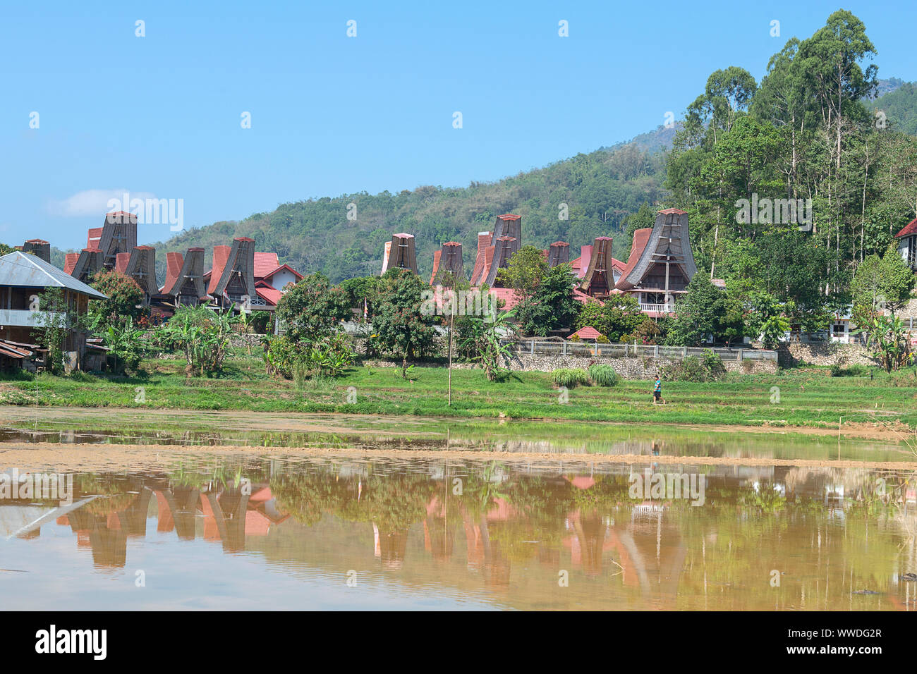 Traditional Alang rice barn, Rantepao, Tana Toraja, South Sulawesi ...