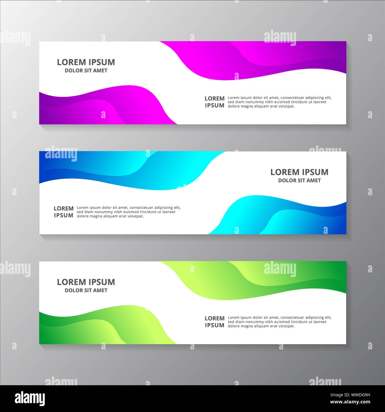 Abstract Liquid Banner Template Gradient Color Modern Layout Web Header Footer Advertising
