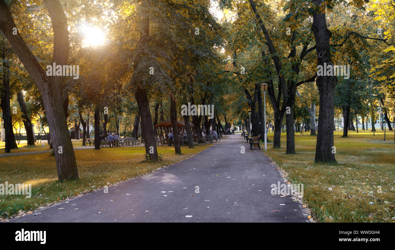 Romania , Timisoara central park people relaxing park alley with ...