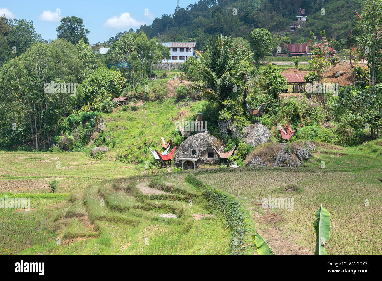 Traditional Alang rice barn, Rantepao, Tana Toraja, South Sulawesi ...