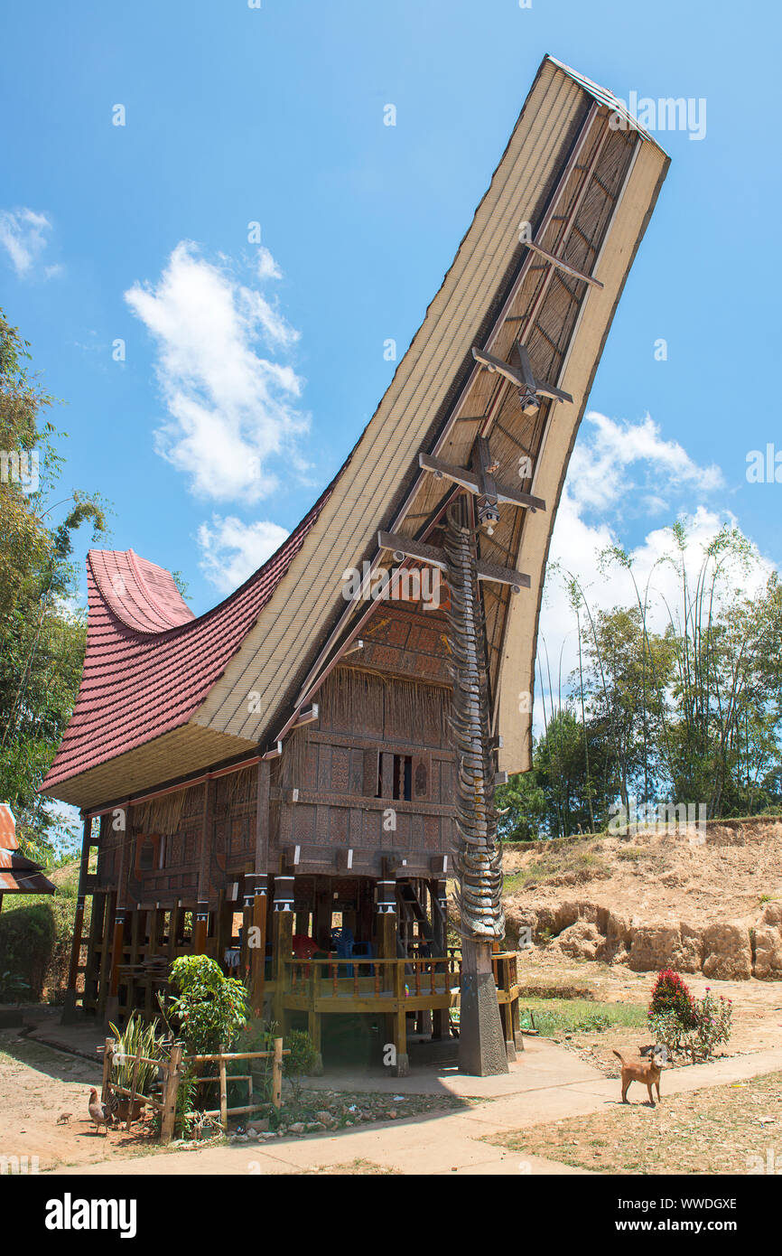 Traditional Alang rice barn, Rantepao, Tana Toraja, South Sulawesi ...