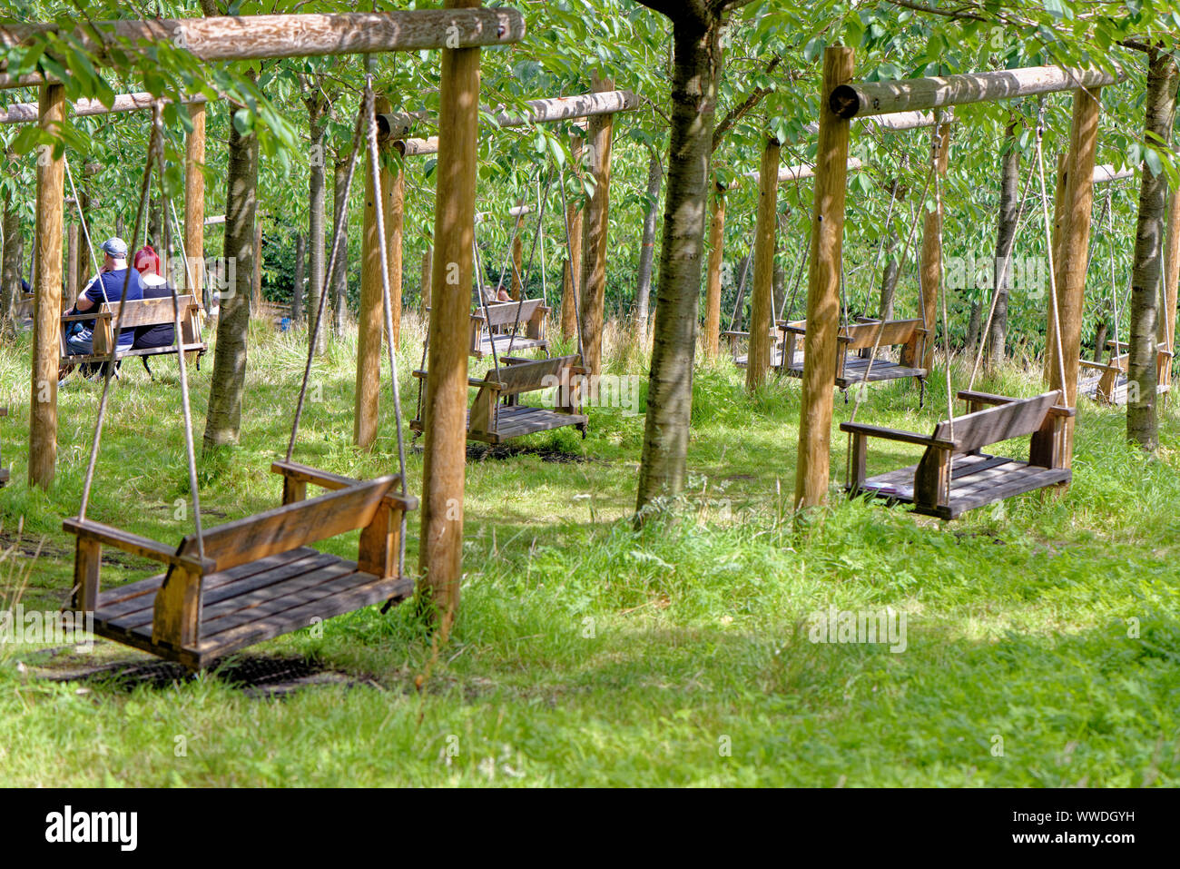 Empty garden tree swings in summer Stock Photo - Alamy