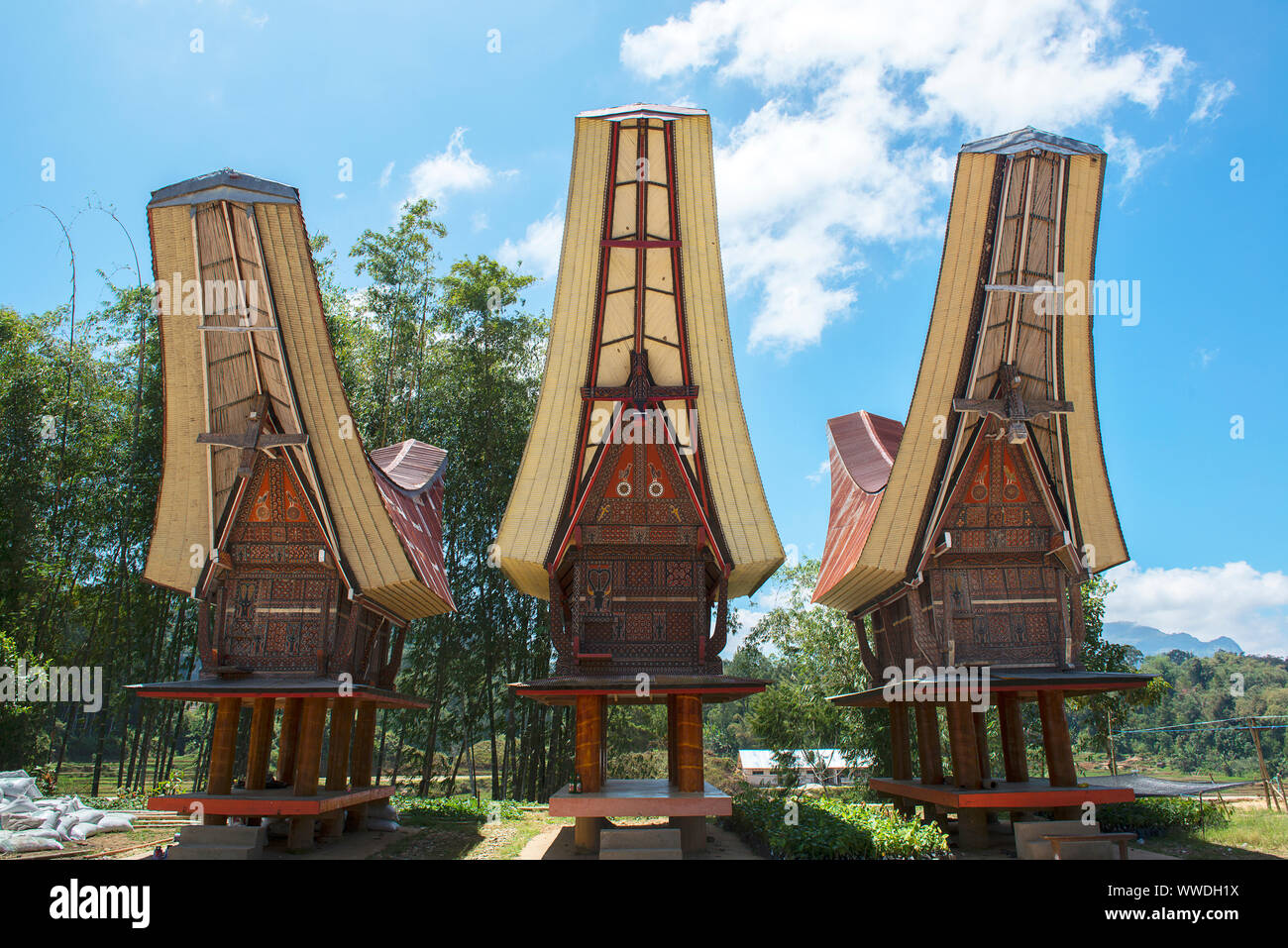 Traditional Alang rice barn, Rantepao, Tana Toraja, South Sulawesi ...
