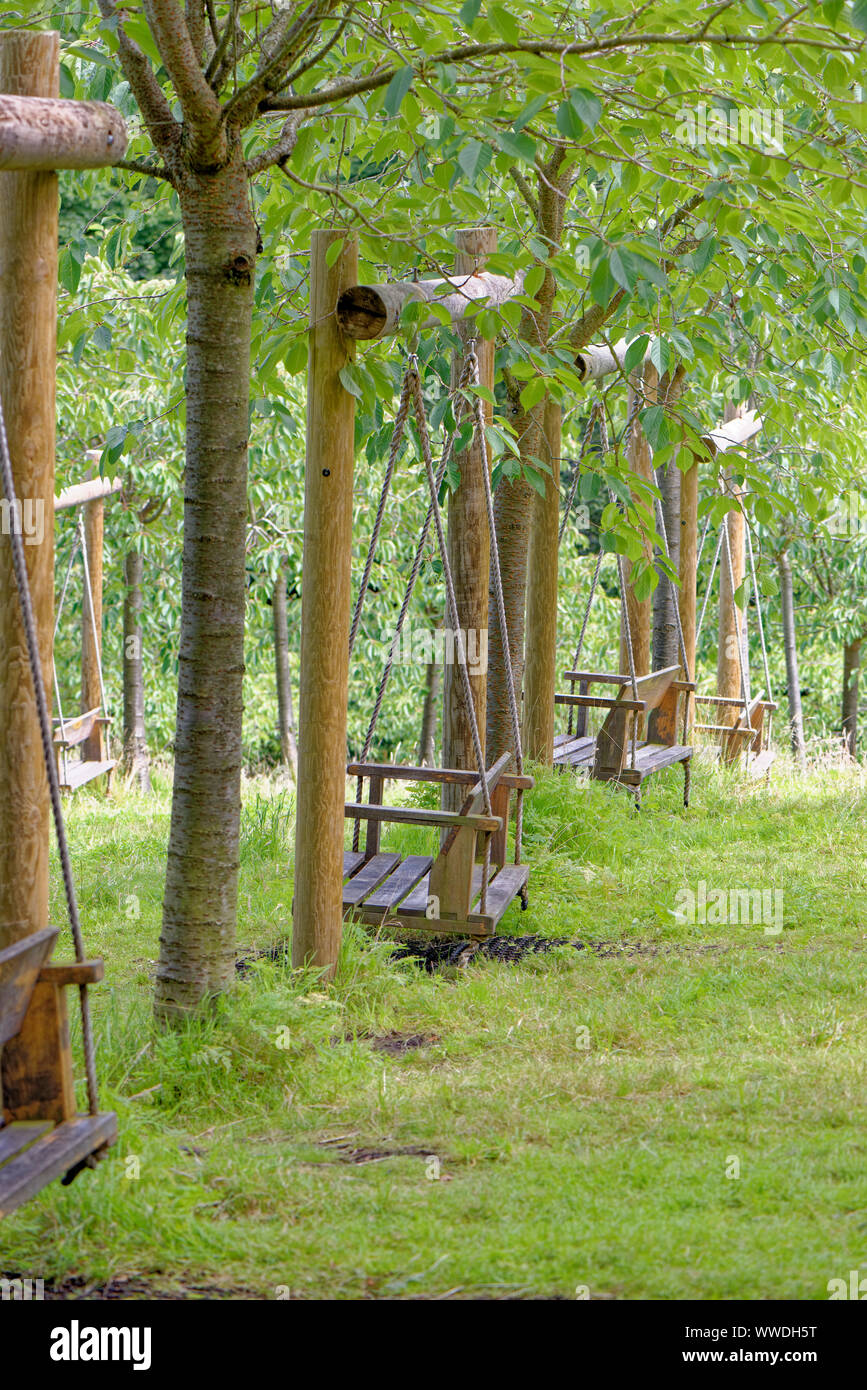 Empty garden tree swings in summer Stock Photo - Alamy