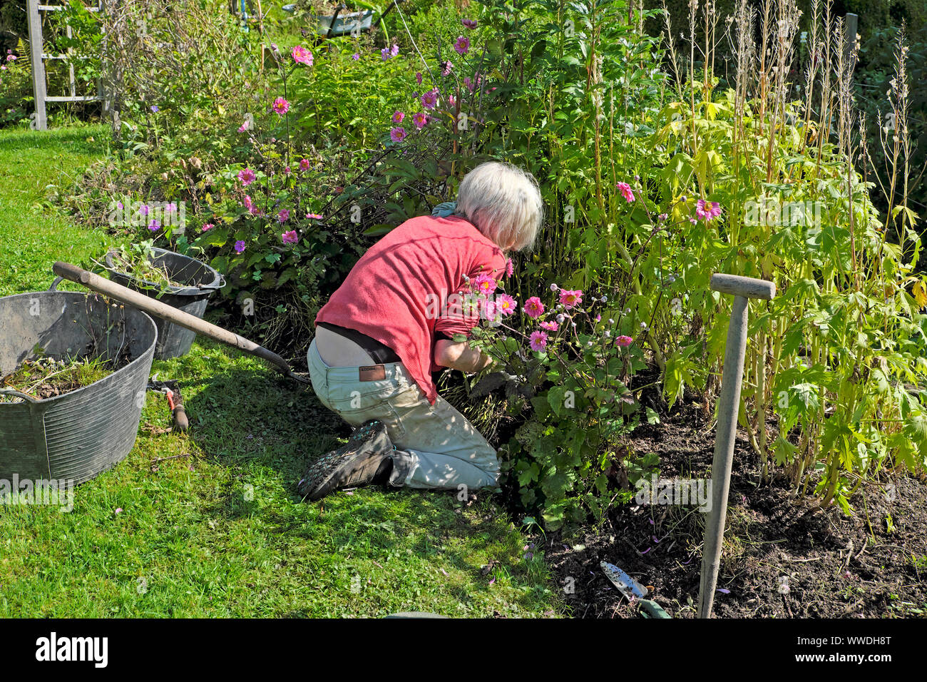 Old Gardening Woman Weeding How To Grow A "No Work" Flower Garden